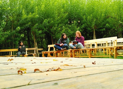 Wild Ideas - creative workshops | Radnorshire Wildlife Trust